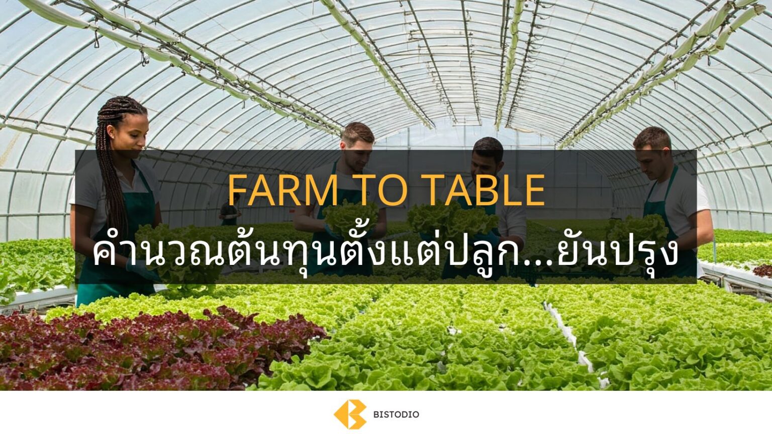 Yield คืออะไร ทำไมถึงสำคัญกับการคิดต้นทุน - Bistodio